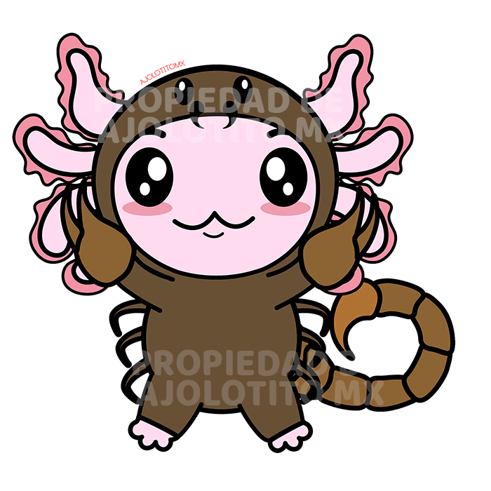 Sticker Axoloteria El Alacrán Ajolote – Ajolotito MX